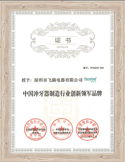 Fly Cat Oral Care - Oral Irrigator Manufacturer & Supplier